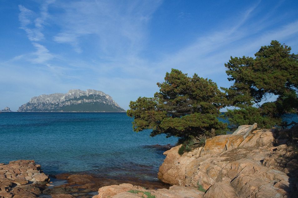 Hotels in Murta Maria: günstig nach Nordsardinien (ohne Costa Smeralda)