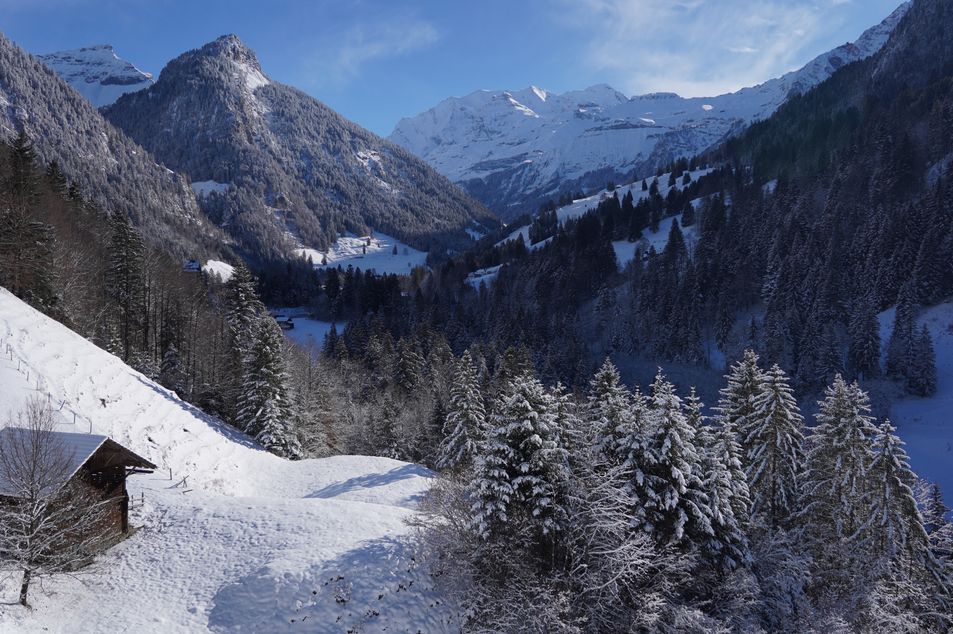 Hotels in Kandersteg: günstig nach Adelboden-Lenk-Kandersteg